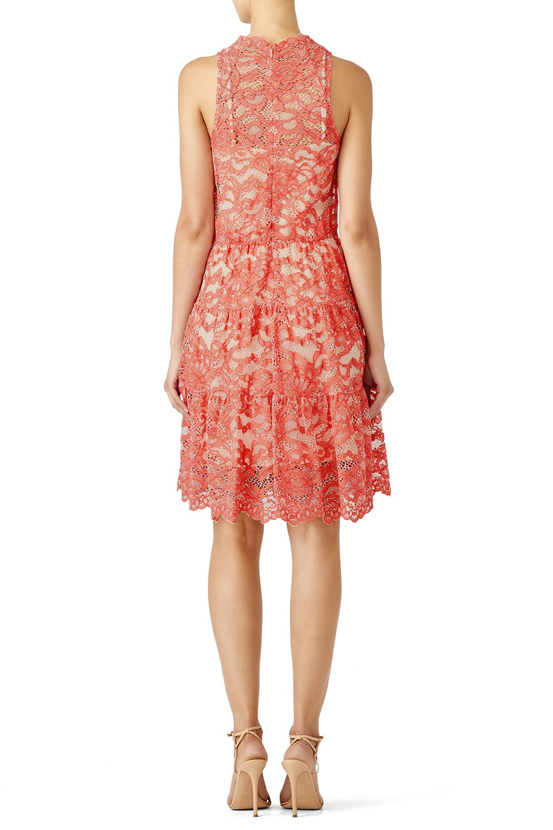 Posie Lace Dress by ERIN erin fetherston | Rent the Runway