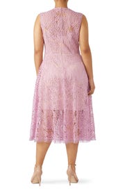 Shane Lace Dress by Dress The Population | Rent the Runway