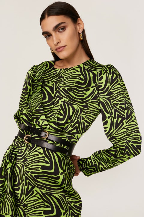 Green Zebra Dress by Ronny Kobo x RTR | Rent the Runway