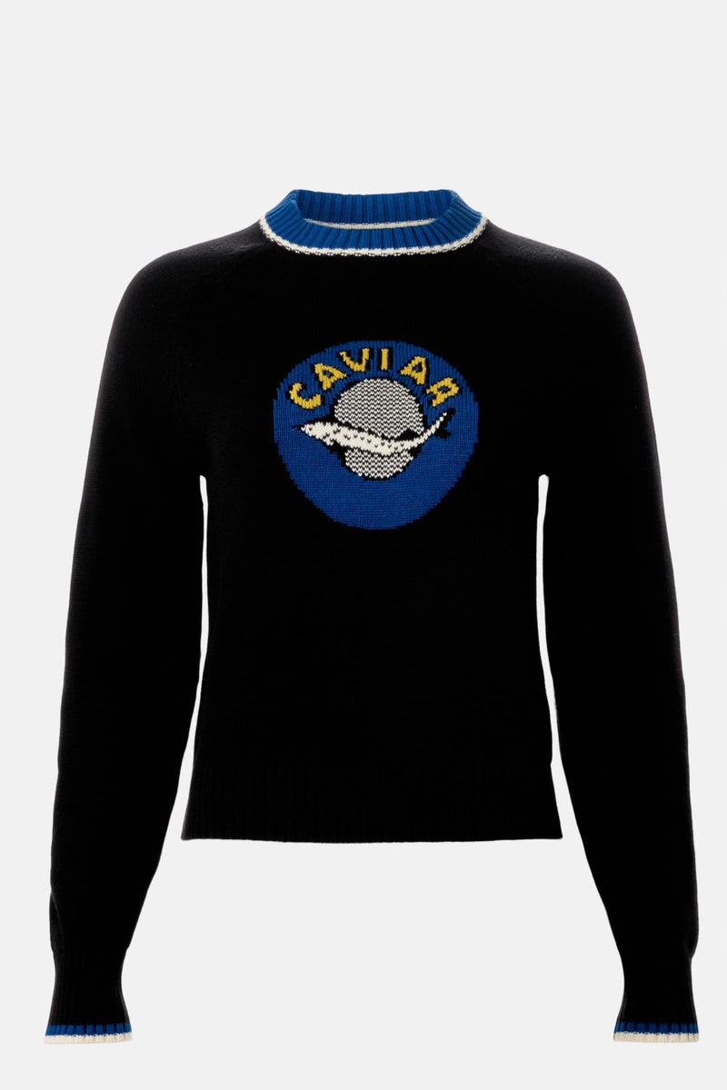 Caviar Sweater by Rachel Antonoff | Rent the Runway