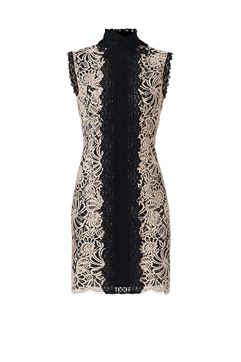 Lace Paramour Dress by Nanette Lepore | Rent the Runway