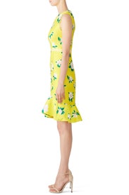 Magnolia Ruffle Dress by Draper James | Rent the Runway