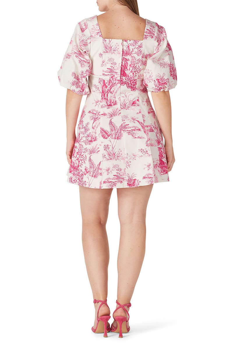 Pink Lydia Dress by Nicholas | Rent the Runway